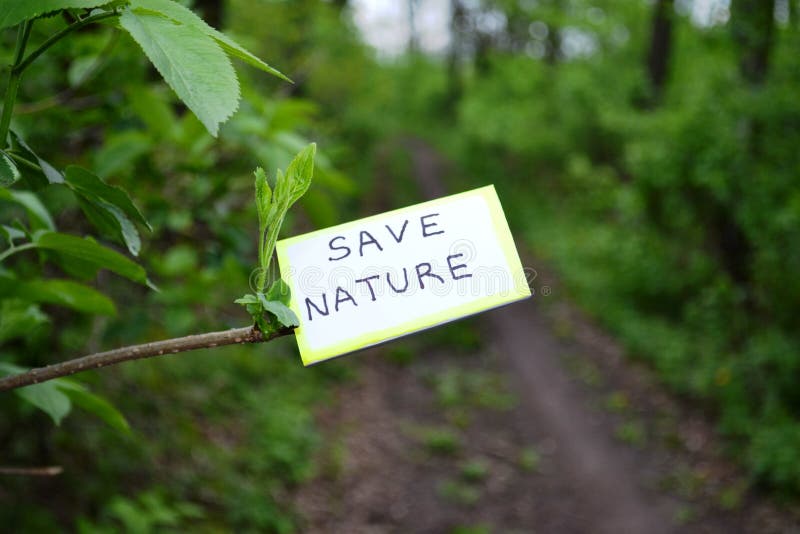 Save nature stock photo. Image of leaves, nature, flora - 19527224