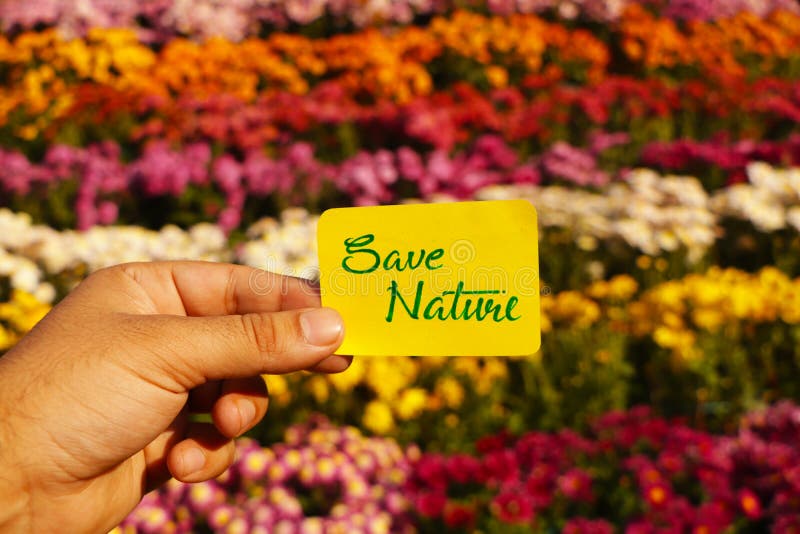 Save Nature Text with Flowers. Stock Image - Image of flowers, purple ...