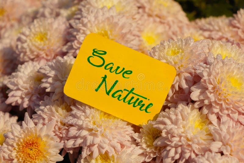 Save Nature Text with Flowers. Stock Photo - Image of colorful, nature ...