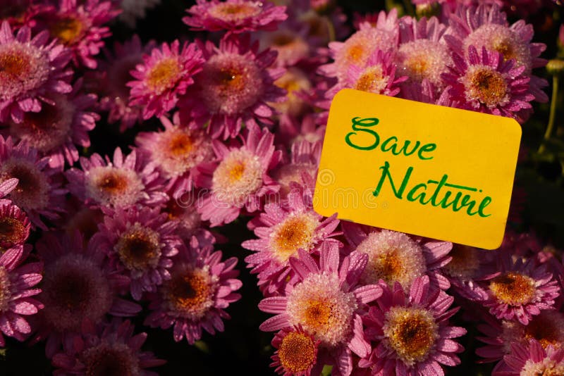 Save Nature Text with Flowers. Stock Photo - Image of marigolds ...