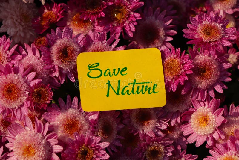 Save Nature Text with Flowers. Stock Image - Image of save, daisy ...