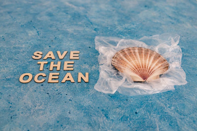 Respect the Ocean Text Surrounded by Colorful Shells on Blue Background ...