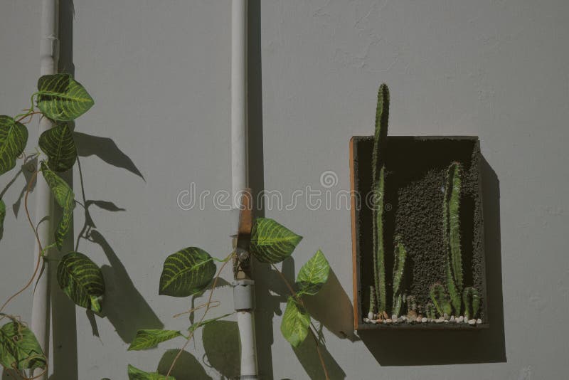 Save our eart stock photo. Image of leaf, save, eart - 264497806