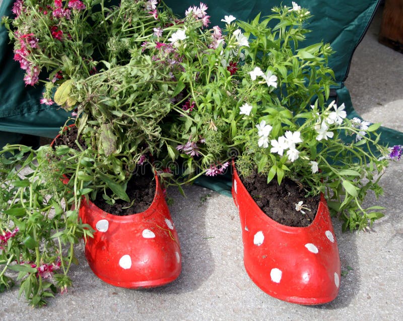 Save plants! stock photo. Image of foliage, scene, green - 4928982