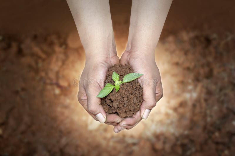 Save Plants, Save Earth Concept Stock Photo - Image of save ...