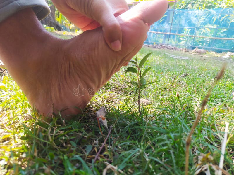 Save Plants - Protect Plants and Conserve Them Stock Image - Image of ...