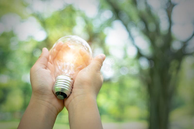 Save Power and Good Energy for Nature, Hand Holding Light Bulb in Park ...