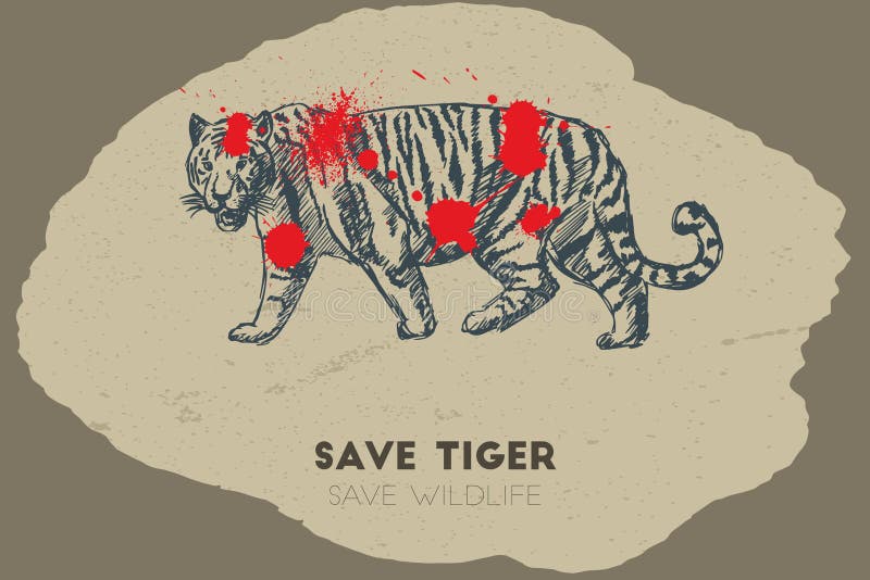 Save tiger. Save wildlife stock vector. Illustration of extinct - 75040250