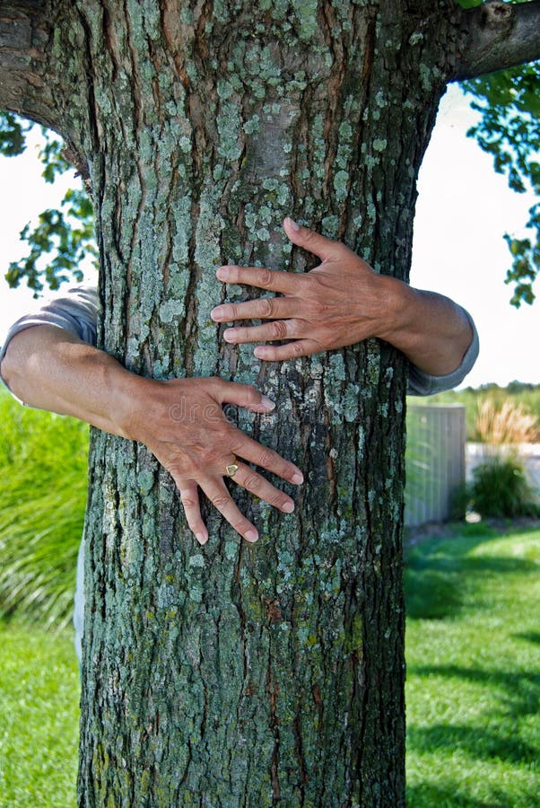 Tree Hugger stock image. Image of conservation, tree, environmentalist ...
