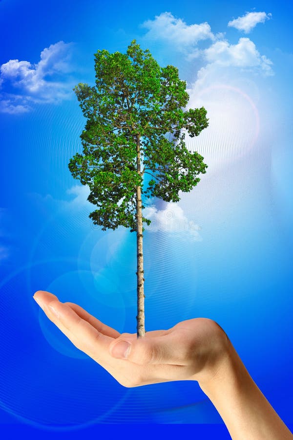 Save tree stock photo. Image of hand, conceptual, bright - 20716260
