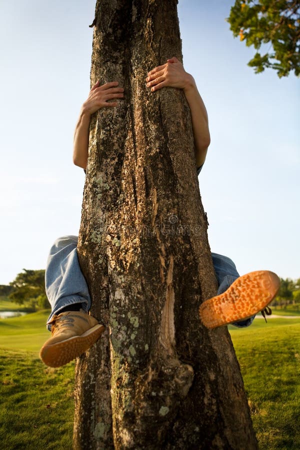 Save the tree concept stock image. Image of hand, green - 14089501