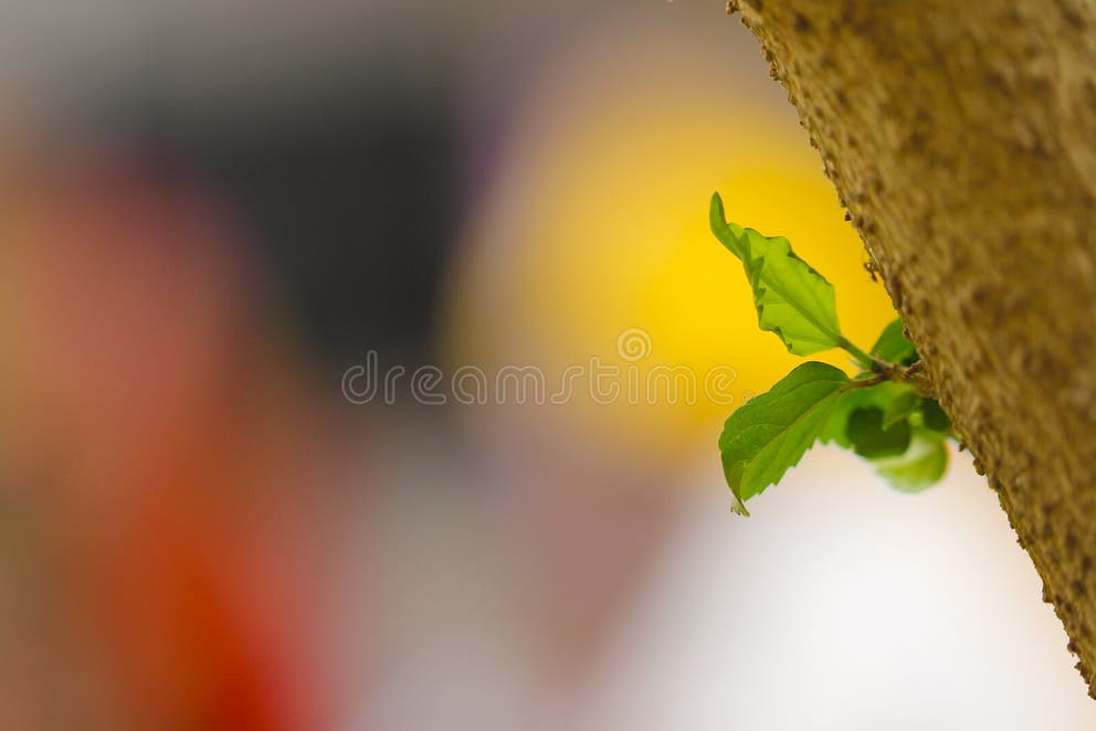 Save the tree concept stock photo. Image of grow, environment - 178194694