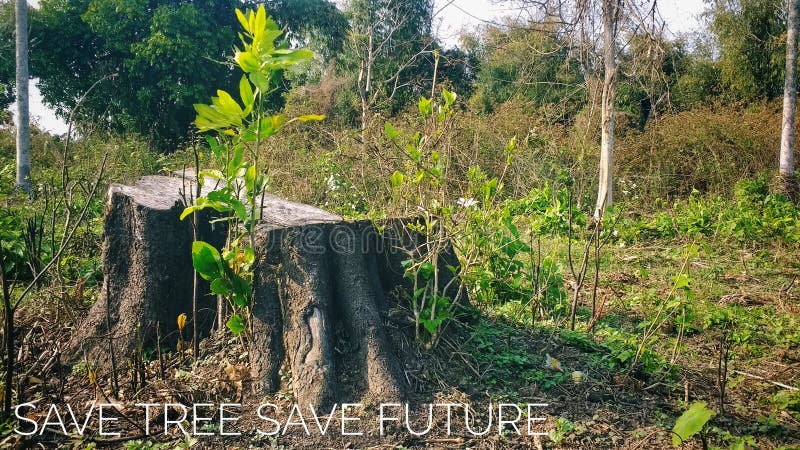 Save tree save future stock photo. Image of tree, save - 116699446