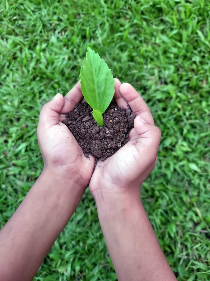 Save Tree, Go Green and Go Green Stock Image - Image of dirt ...