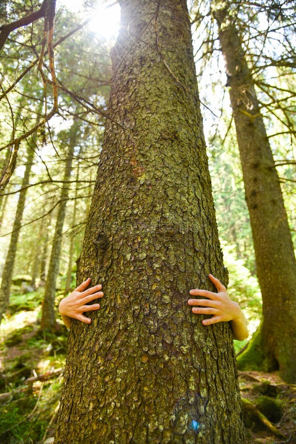 Save the trees stock photo. Image of ecology, friendly - 74232014