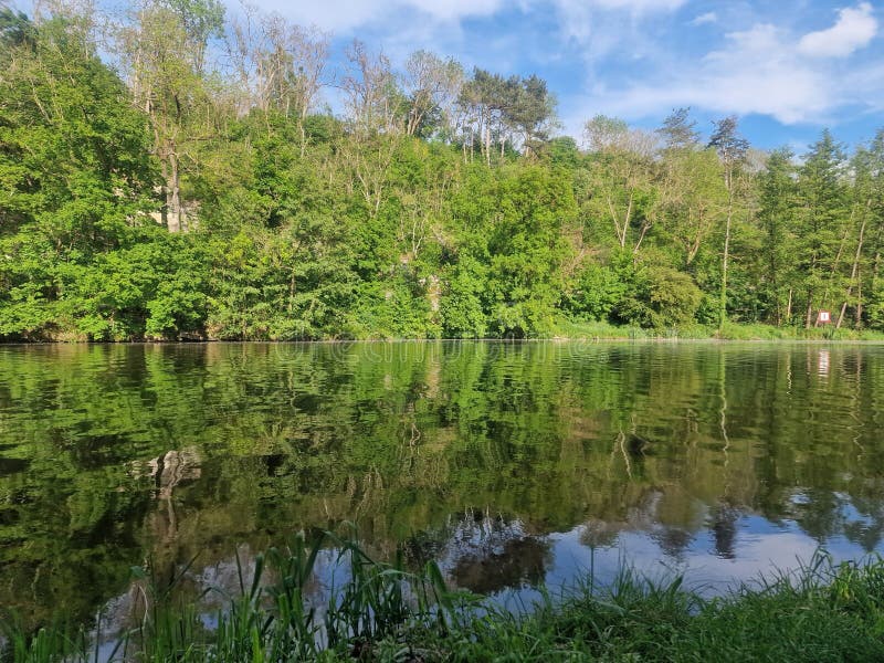 Save the Water for the Next Generation Stock Image - Image of swamp ...