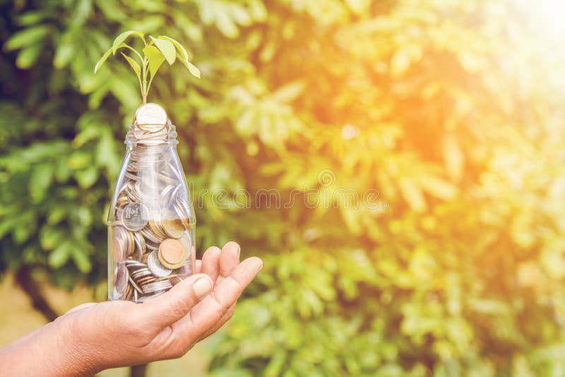 Saving Concept, Hands Save Holding Golden Coin Stack and Small Green ...