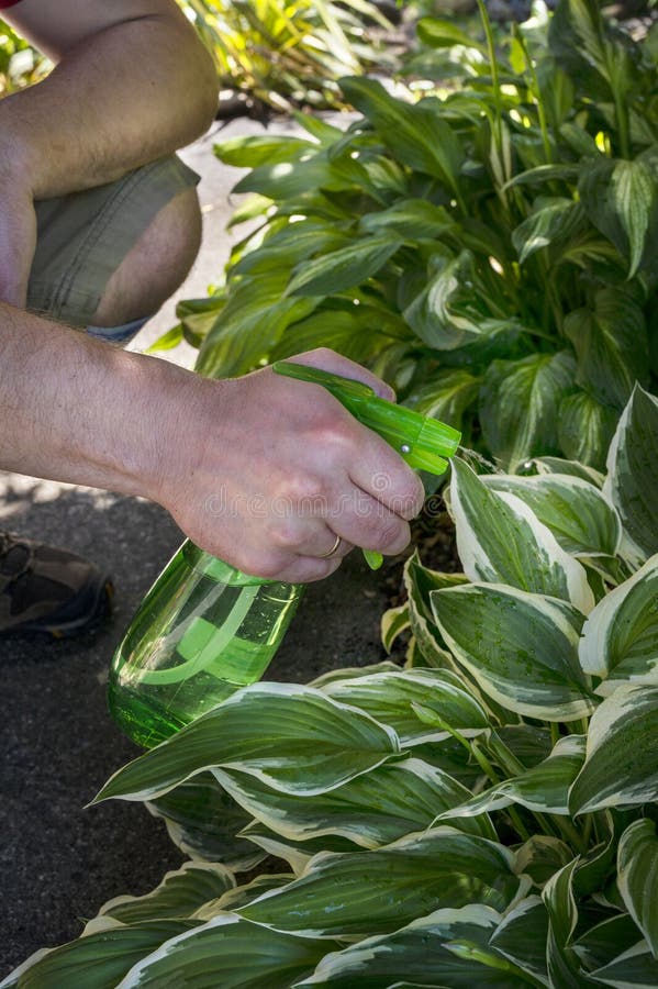 Saving Environment, Save Clean Planet, Ecology Concept. Man Sprays ...