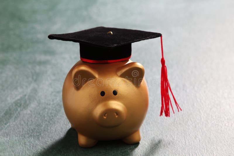 437 Pig Graduation Cap Stock Photos - Free & Royalty-Free Stock Photos ...