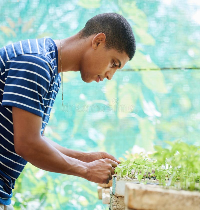 Saving the World One Seed at a Time. a Young Man Pruning His Plants in ...
