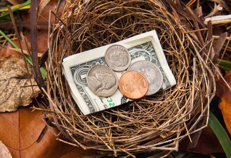 Golden Nest Egg of Money stock image. Image of 401k, nestegg - 9253351