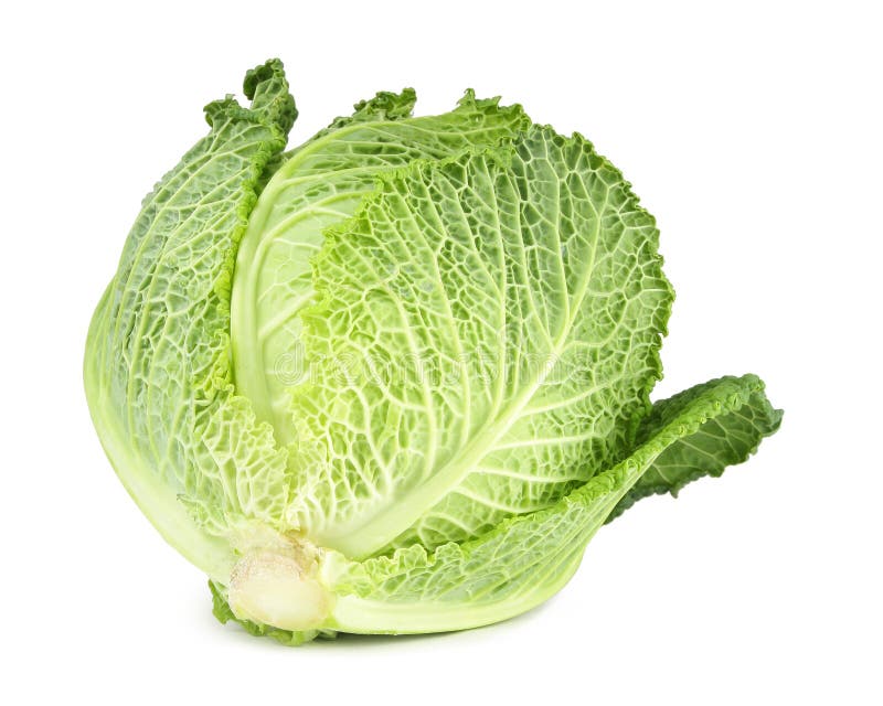 Savooiekool stock foto. Image of kool, diëet, vers, savooiekool - 22068326