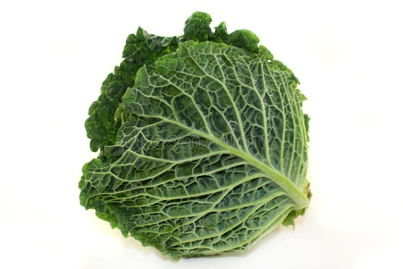 Savooiekool stock afbeelding. Image of gezond, vers, plantaardig - 17181559