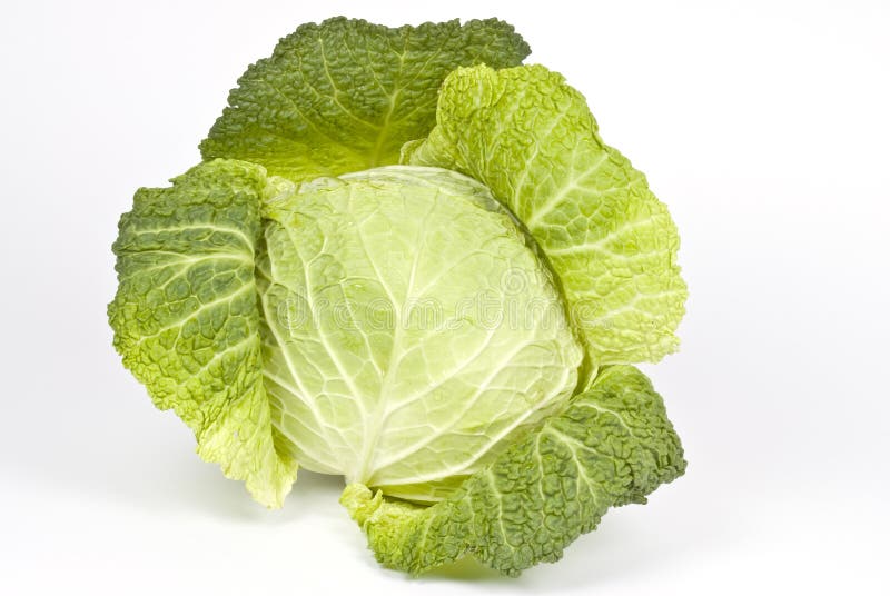 Savory Cabbage stock image. Image of cabbage, fiber, savory - 6288291