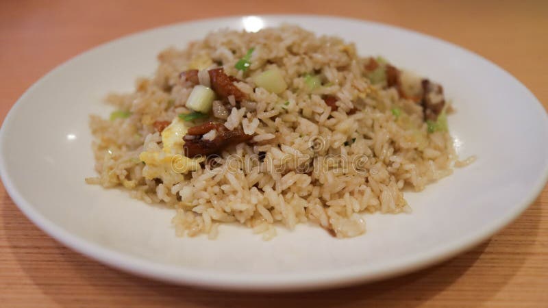 Savory Roasted Duck Fried Rice on Elegant White Plate Stock Image ...