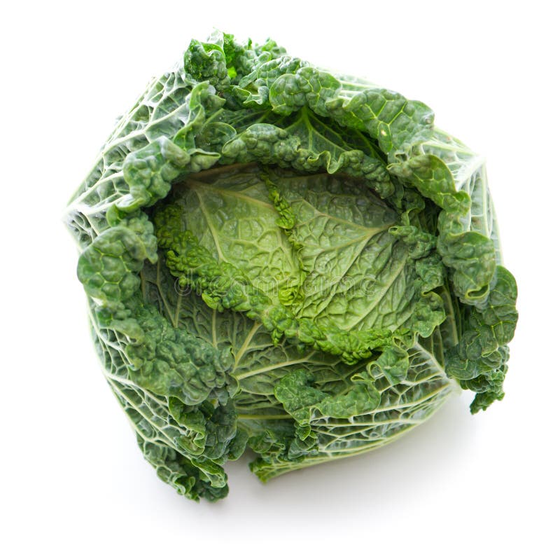 Savoy cabbage stock photo. Image of cabbagehead, food - 25818372
