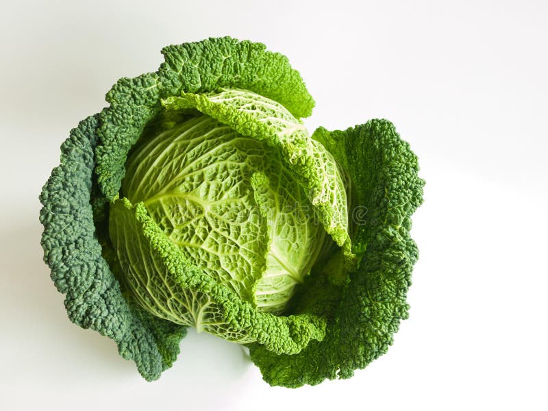Savoy Cabbage stock image. Image of studio, shot, sphere - 14996587