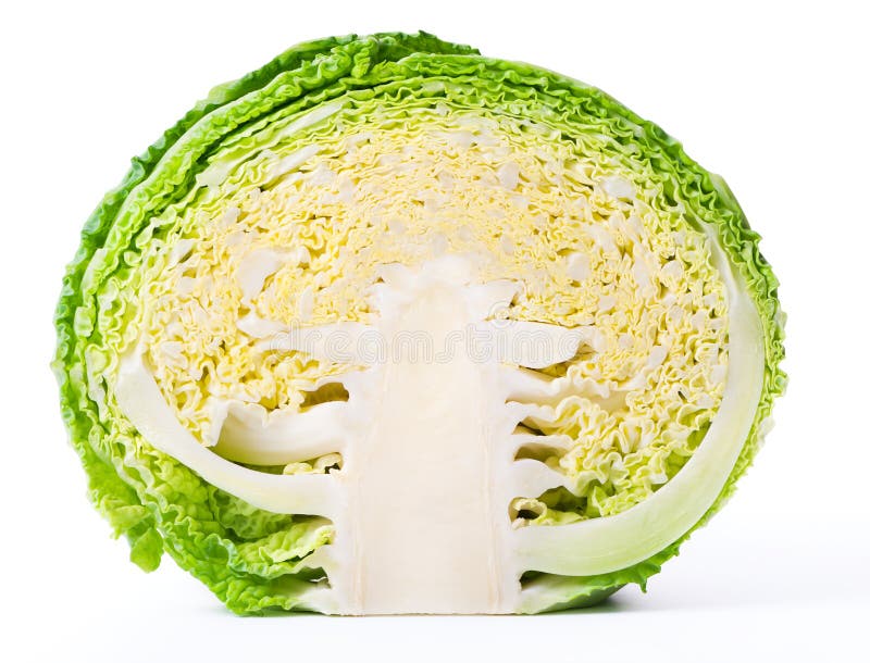 Savoy Cabbage stock image. Image of studio, shot, sphere - 14996587