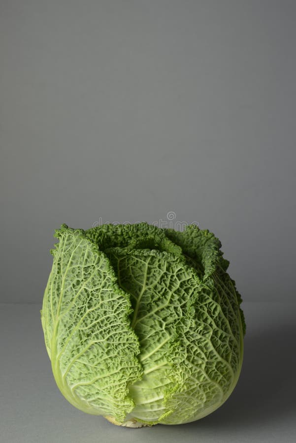 Savoy cabbage stock photo. Image of food, natural, organic - 61052472