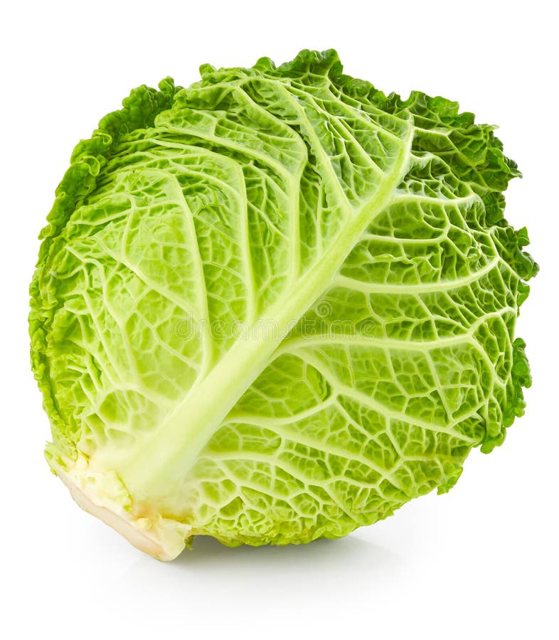 Cabbage stock photo. Image of cabbage, ingredient, leaf - 54204234