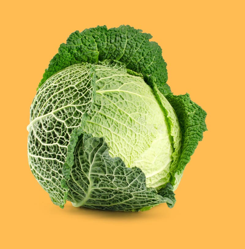 Savoy cabbage stock image. Image of head, ingredient - 117144367