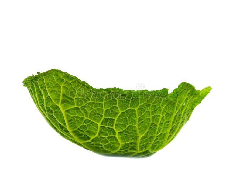 Savoy Cabbage Leaf Isolated on White Background Stock Image - Image of ...