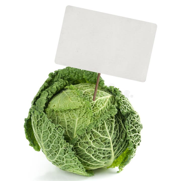 Savoy Cabbage with Price Tag Stock Photo - Image of vegetable, white ...