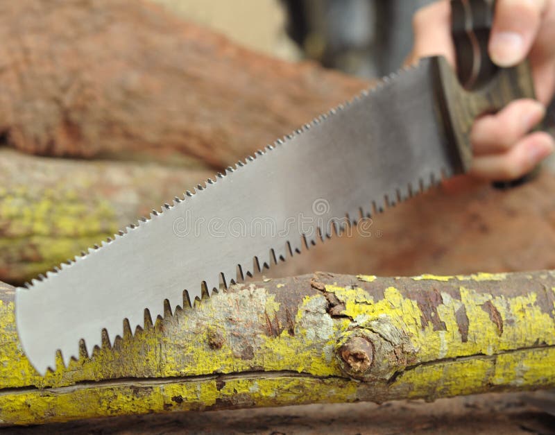 Saw stock photo. Image of wood, tree, carpenter, carpentry - 9088216