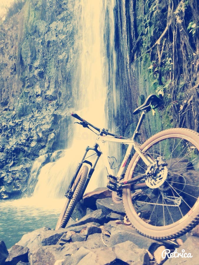 Saw bike stock photo. Image of mountain, velocit, tree - 48081160