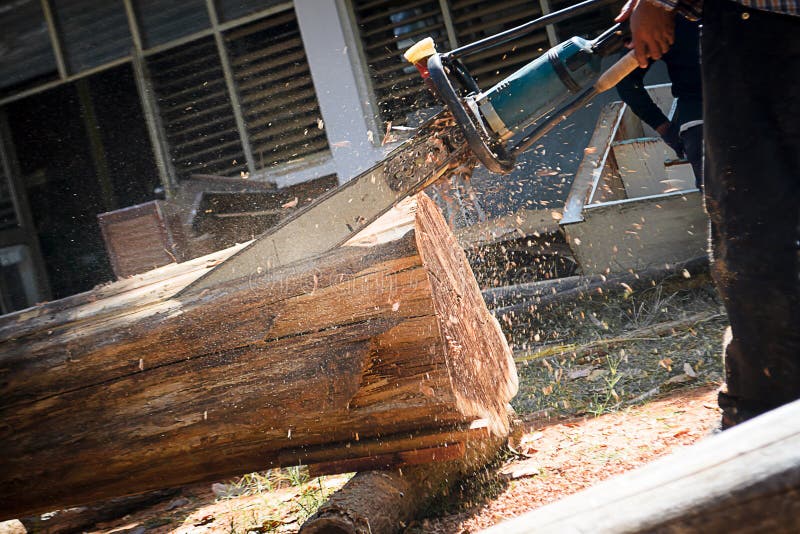 Saw Blade for Cutting Timber Stock Photo - Image of tree, trunk: 48147414