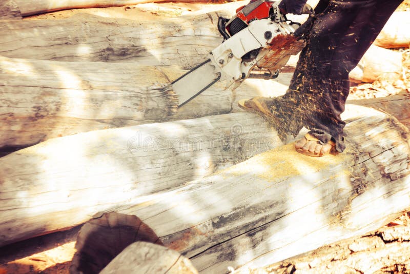 Saw Blade for Cutting Timber Stock Image - Image of lumber, woodcutter ...