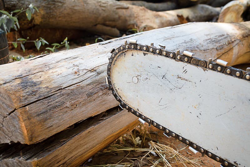 Saw Blade for Cutting Timber Stock Image - Image of chain, woodcutter ...
