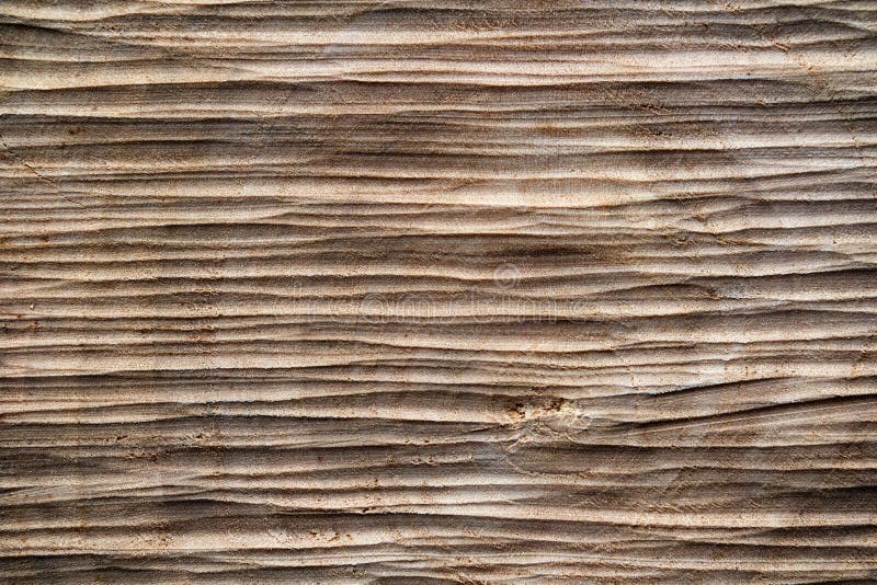 Saw Cut Wood Macro Texture for Background Stock Photo - Image of ...