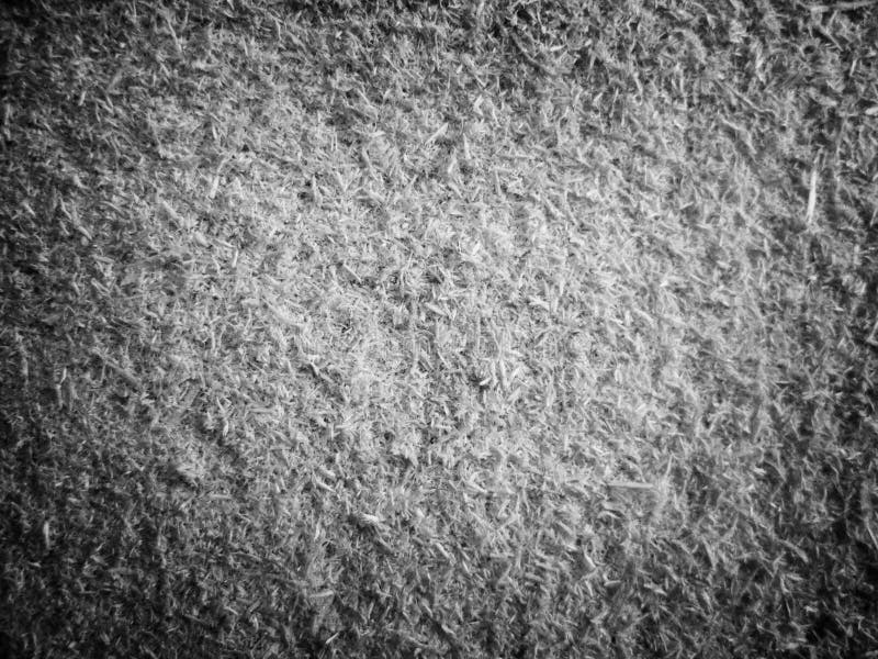 Saw dust stock image. Image of back, close, macro, small - 15966649