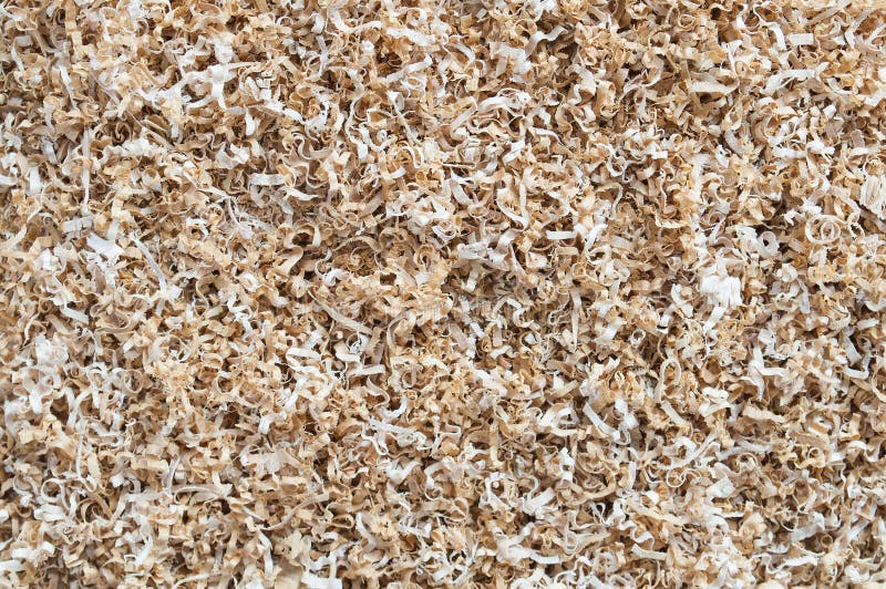 Saw dust texture. stock photo. Image of light, pine, chaos - 85822382