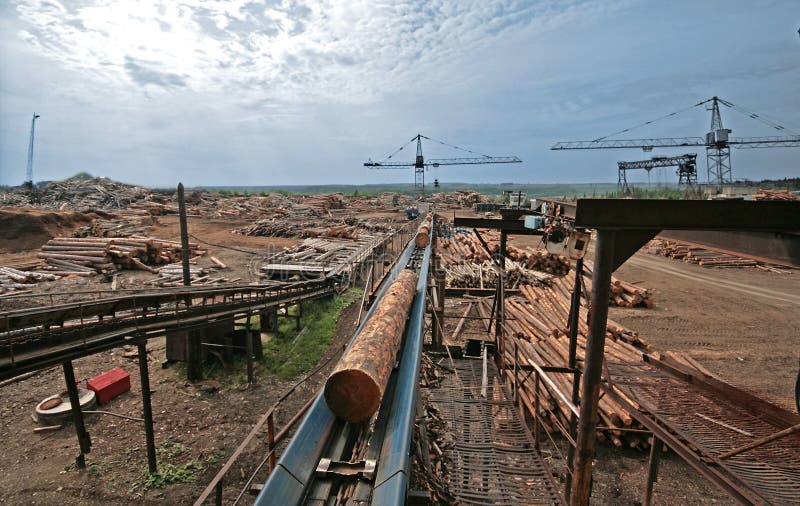 Inside a sawmill stock image. Image of industry, factory - 41386459