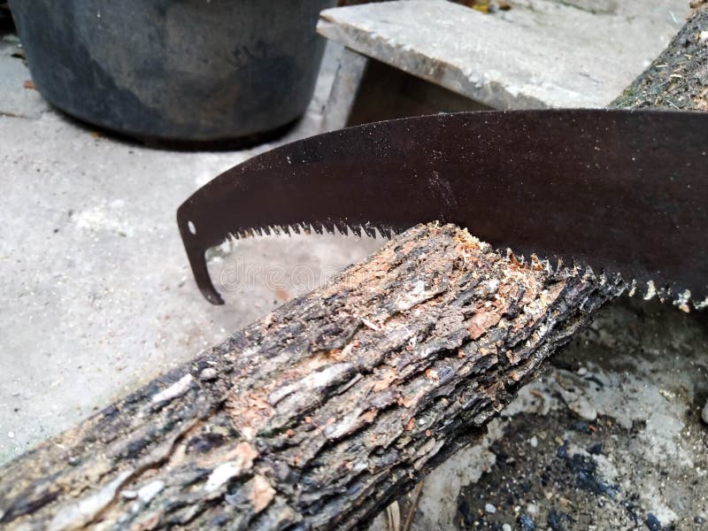 Saw 2 stock photo. Image of timber, grain, construction - 333401008