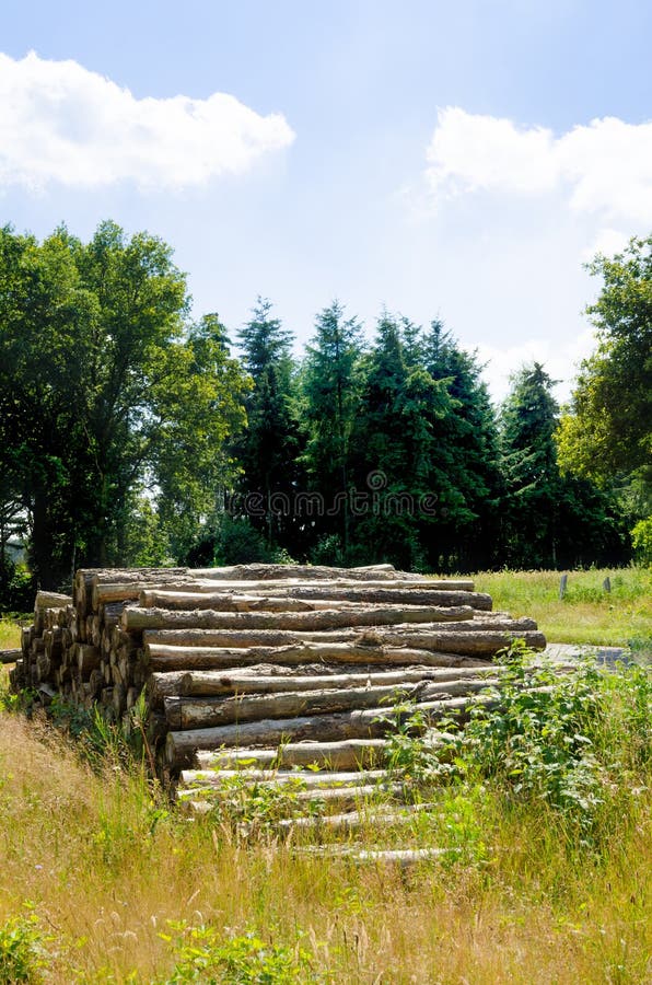 Saw round timber stock image. Image of circle, pile, outside - 32316693