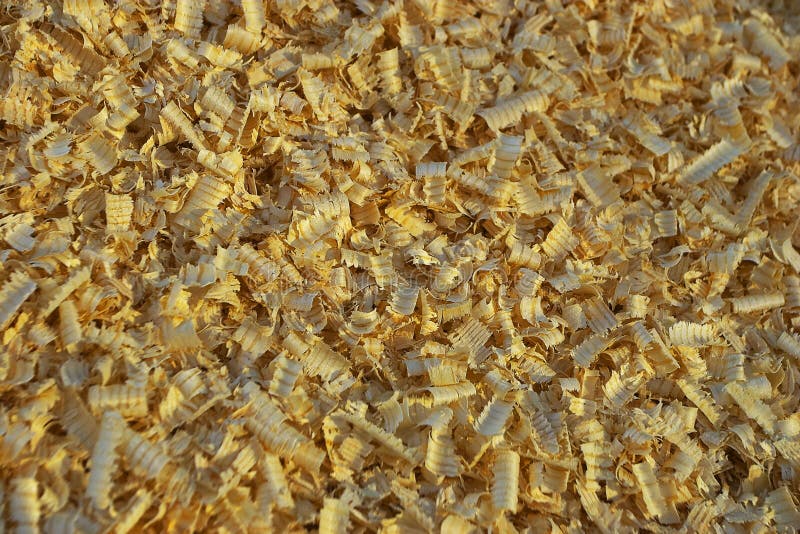 Sawdust stock image. Image of light, wood, sawdust, background - 411929