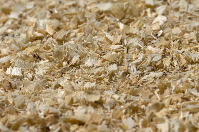 Sawdust Picture. Image: 5830379